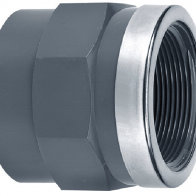 Schroefbus | Daruma Koi