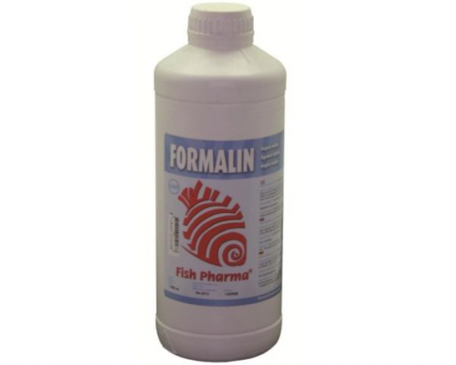 Fish Pharma Formalin 1000 ml | Daruma Koi
