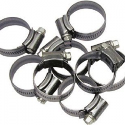 Slangklem RVS | Daruma Koi